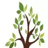 The Mahabodhi Tree Gaya | Best School for Holistic Education in Bihar